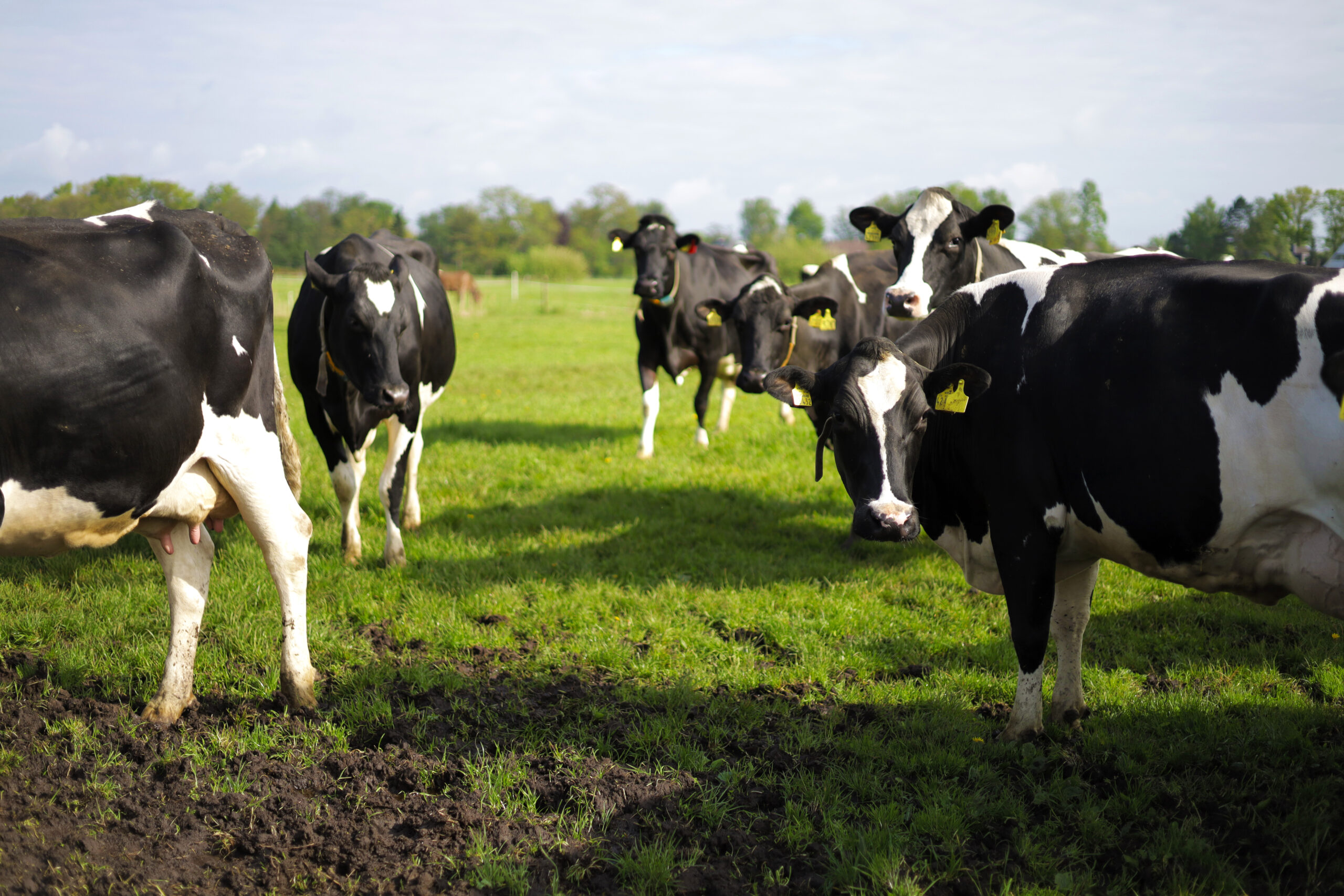 Grundlagen Tierhaltung | biokompetent.de